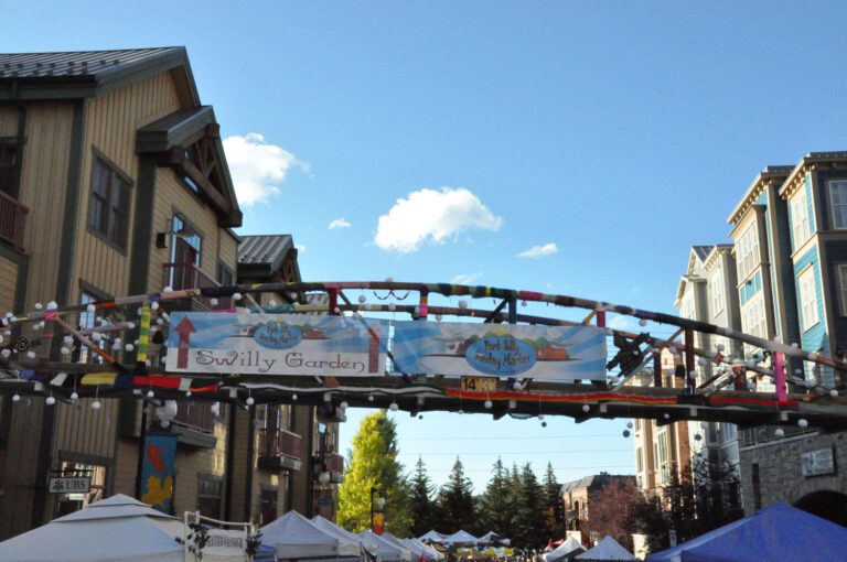 Media Photos - Park Silly Sunday Market